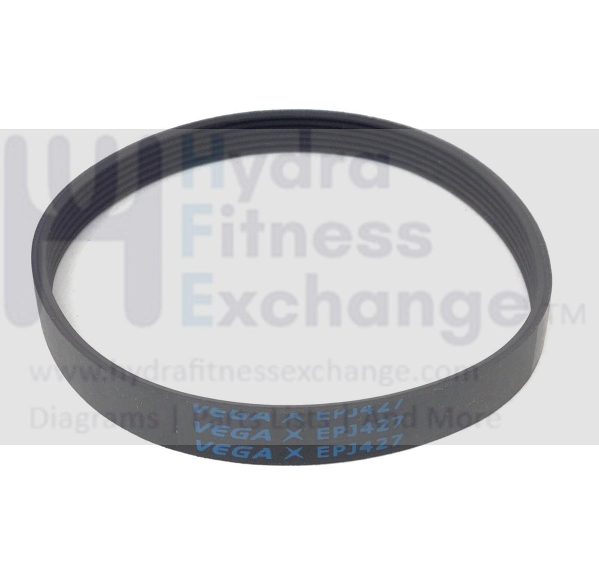 Echelon Stride ECH-Stride Treadmill Motor Drive Belt EPJ427 16" Ribs 6 ...