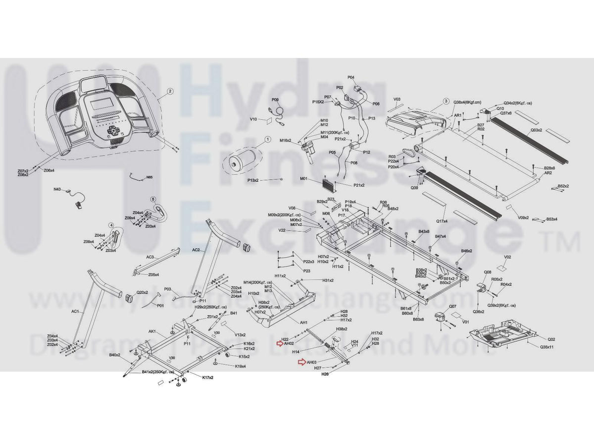 Horizon Fitness Treadmill Folding Shock Latch Lockout Set 1000403907 ...