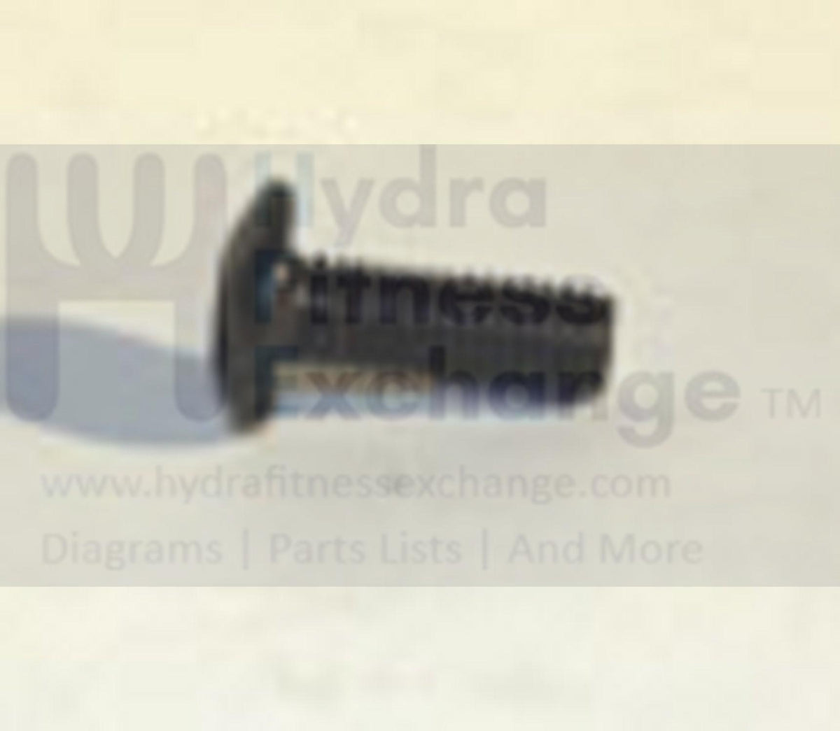 Matrix Commercial Vision Horizon Fitness Elliptical Hex Socket Screw 0 ...
