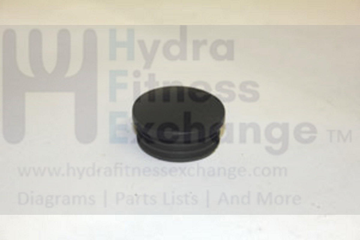 Matrix Retail Vision Horizon Fitness Elliptical End Cap 000945-AA ...