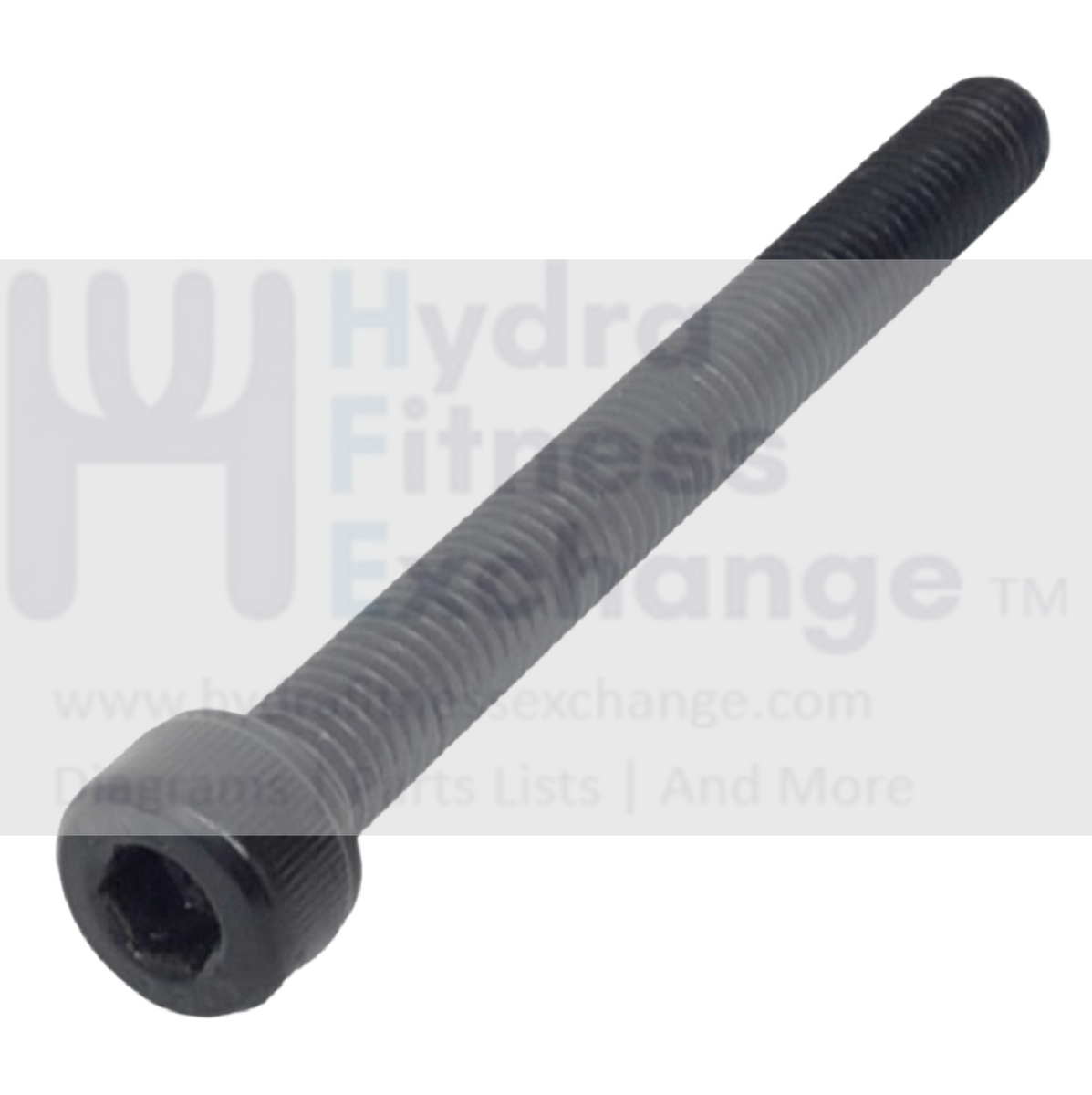 Precor Treadmill Round Hex Socket Screw M8 - 1.25x 80mm PPP00000CEJN00 ...
