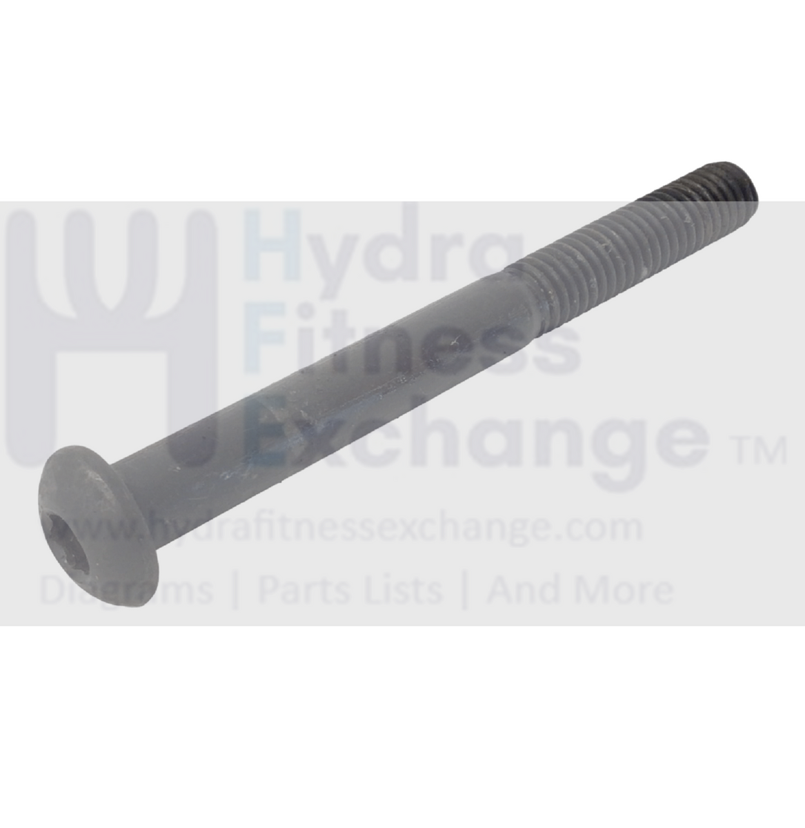 Red Zone T55i Treadmill Button Head Screw 3-8-16-3.75 Inch ...