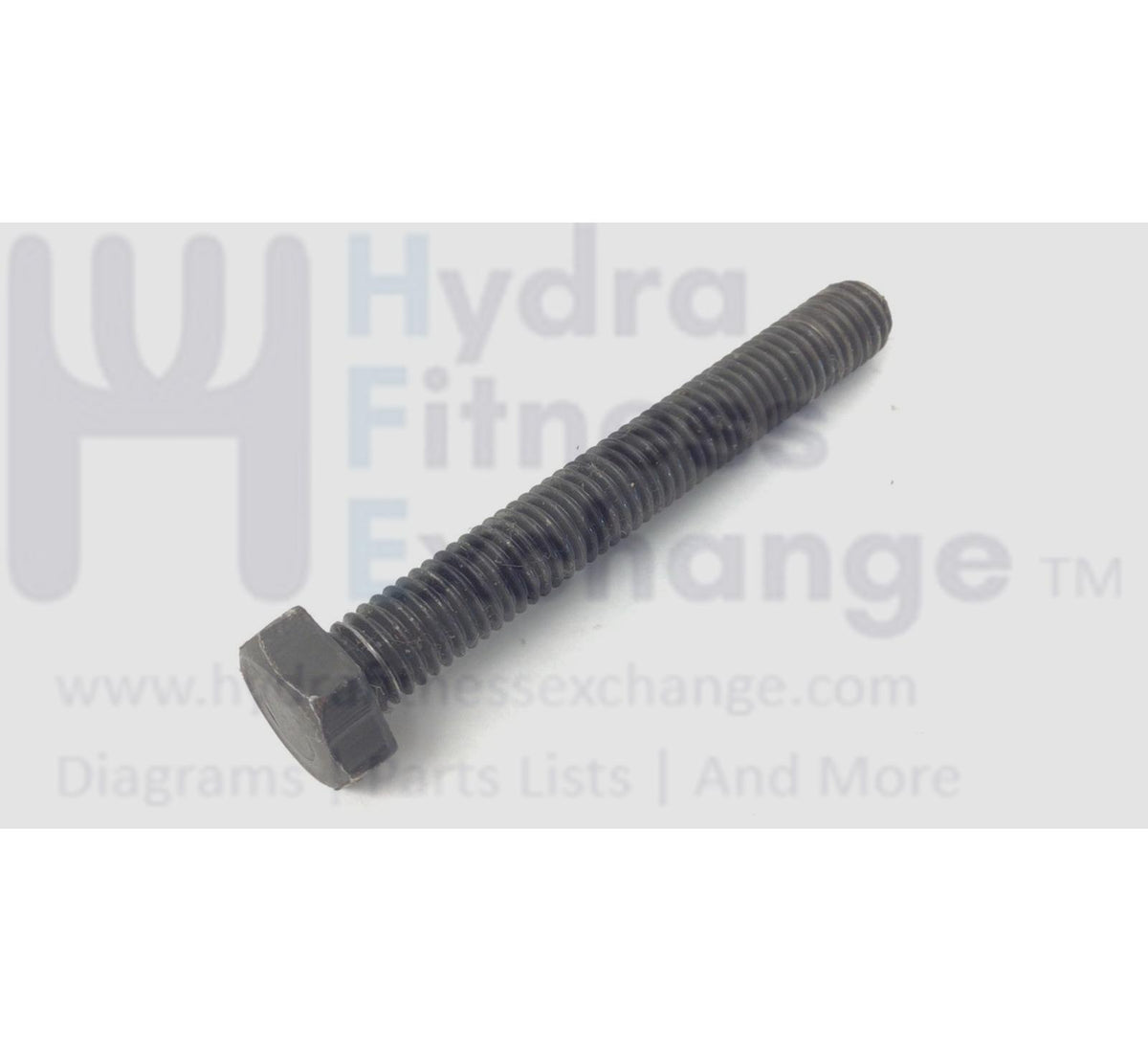 Red Zone T55i Treadmill Hex Head Bolt M8 - 1.25 x 60mm 58940 ...