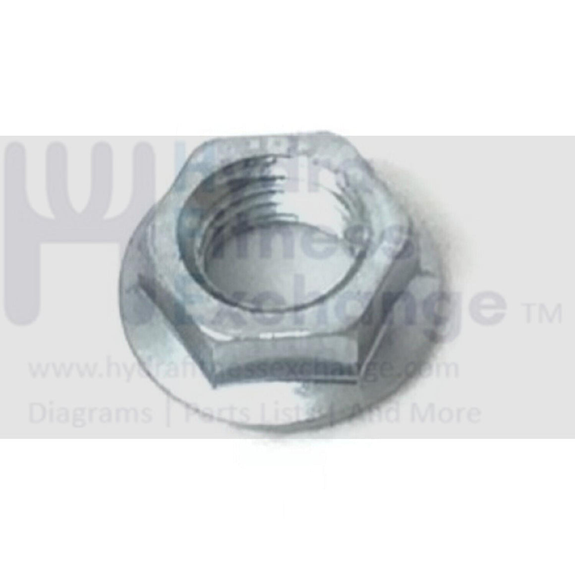 Schwinn Universal Elliptical Hex Flange Crank Nut 004-3751 ...
