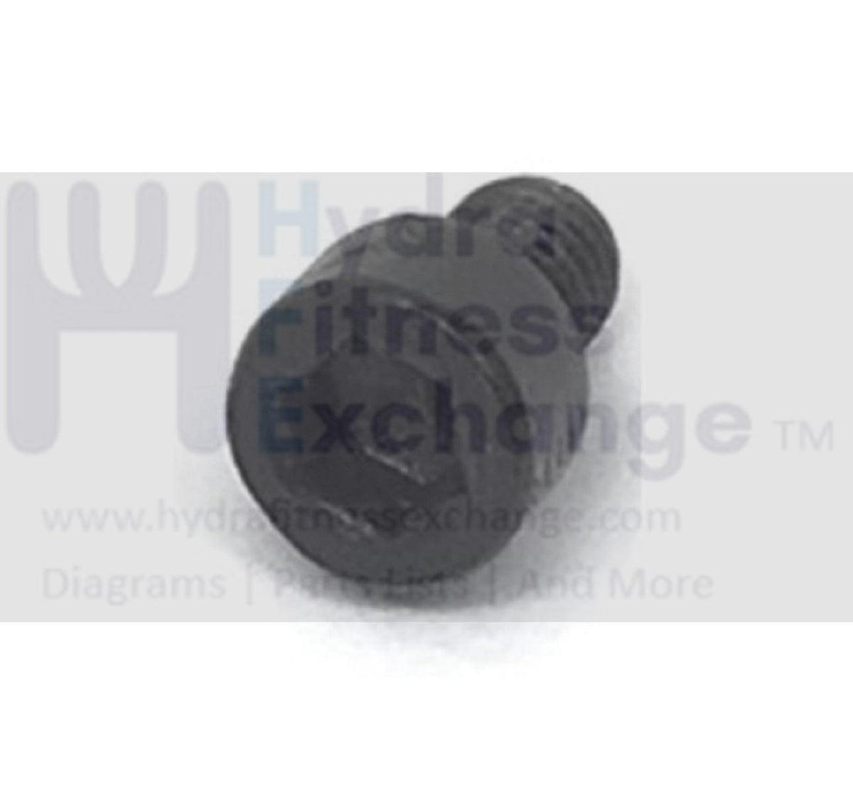 Vision Fitness Treadmill Round Head Cap Hex Socket Screw M6 - 1.0 x 10 ...