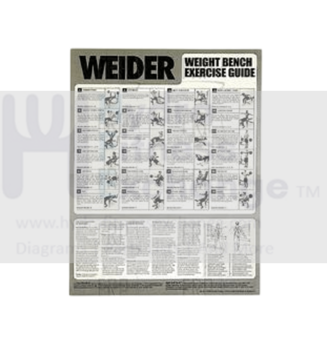 Weider Icon Strength System Exercise Poster 199726 – hydrafitnessparts