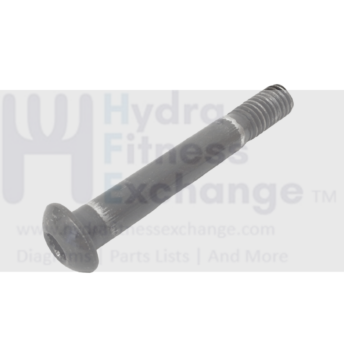 Bowflex BFX Blaze Single Pack Strength System Button Head Screw 3-8-16 ...