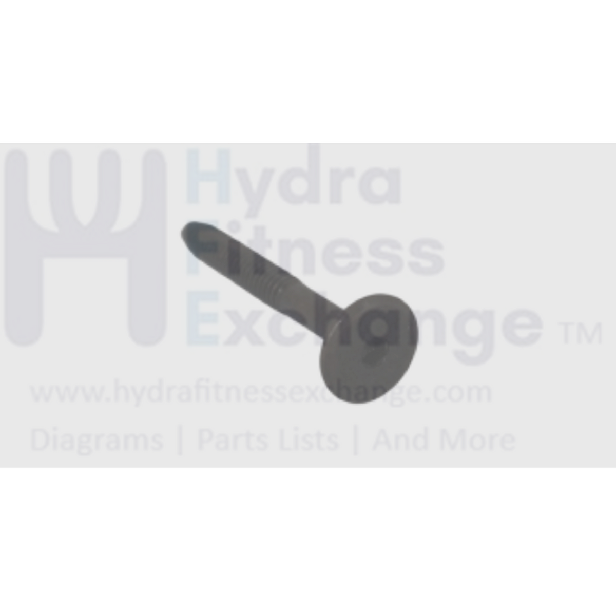 Matrix Fitness Strength System Connector Head Bolt 1/4"-20x50 mm 17mm ...