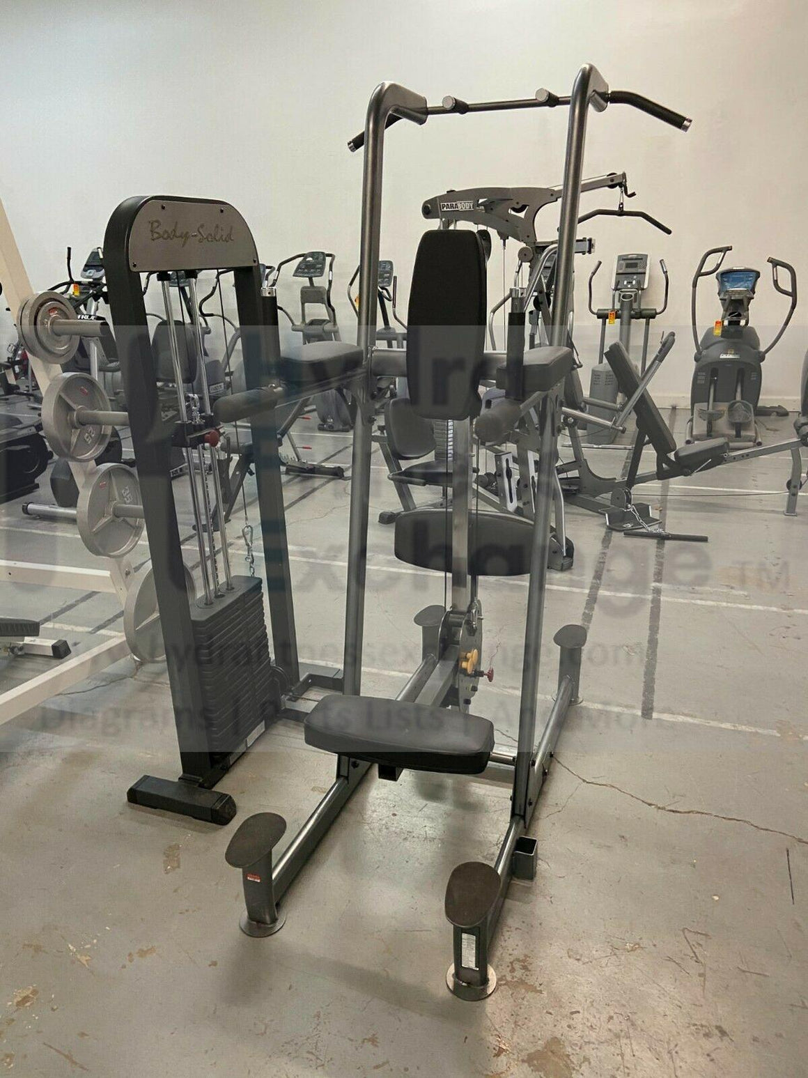 Body Solid Pro Select Weight Assisted Chin-Dip Machine for Home Gym ...