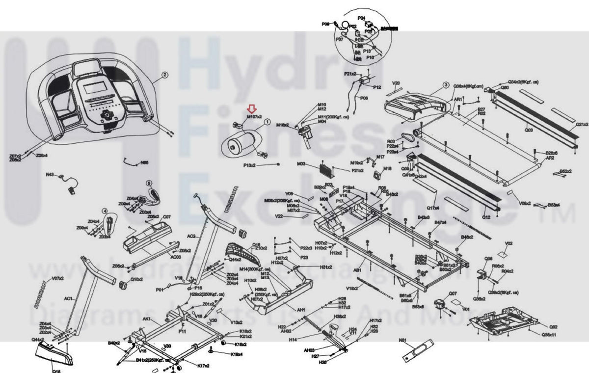 Horizon Vision Fitness 7.4AT-04 PST8 T9500 T9600 Treadmill Motor Brush ...