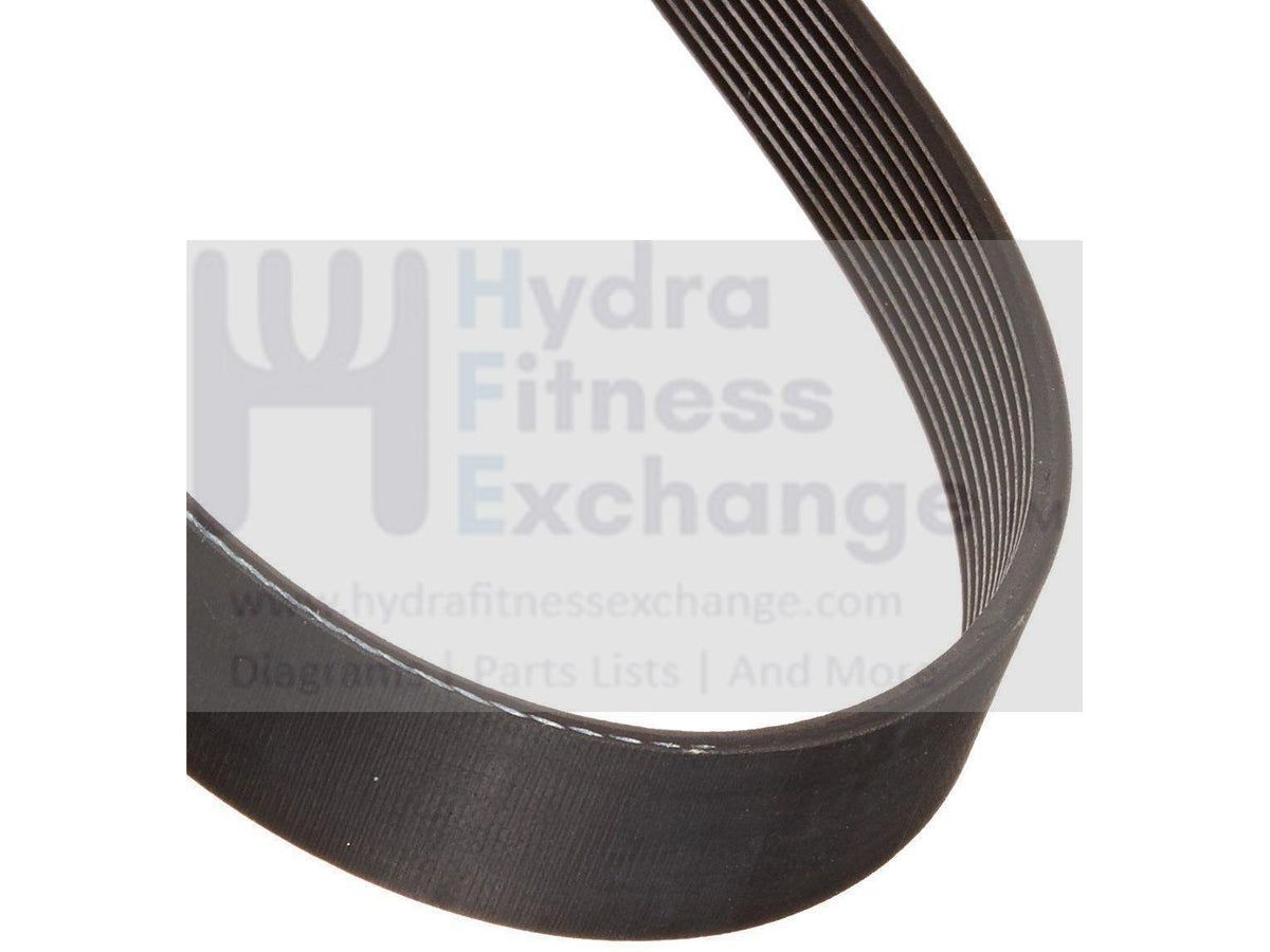 Life Fitness Upright Recumbent Bike Drive Belt 90r 95r 90c 95ci Lifecy ...
